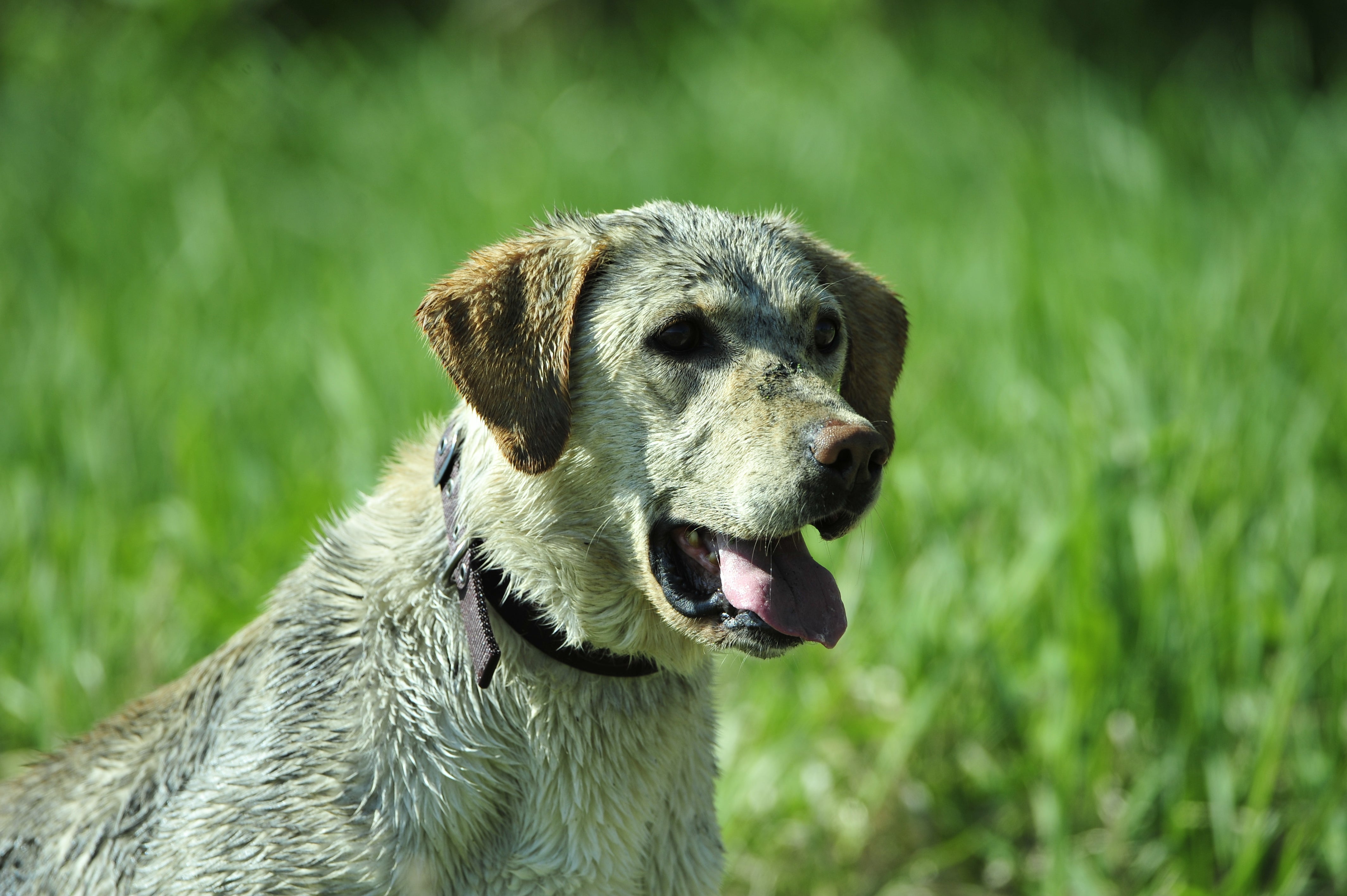 Blunt Force Trauma: 8 First Aid Tips – Boyt Harness