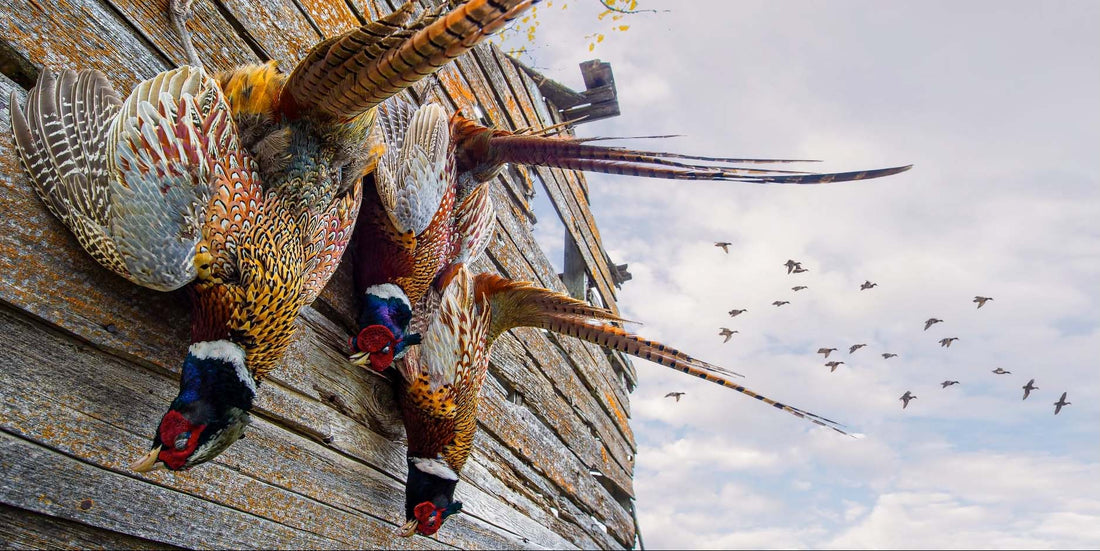 Boyt Harness Company