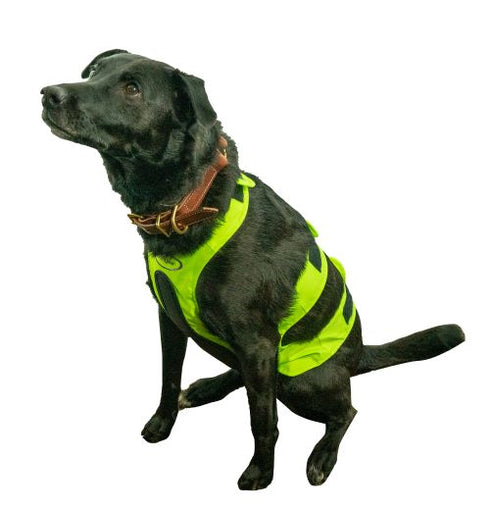 Dog Chest Protector – Boyt Harness
